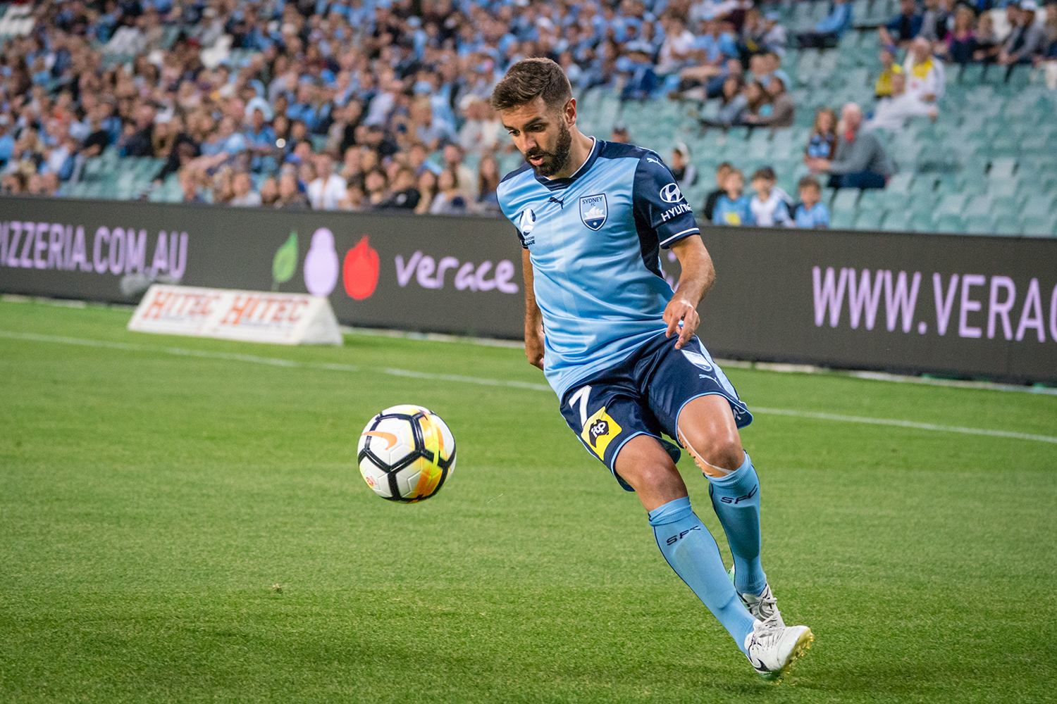 Zullo's Family Bet Pays Off - Sydney FC