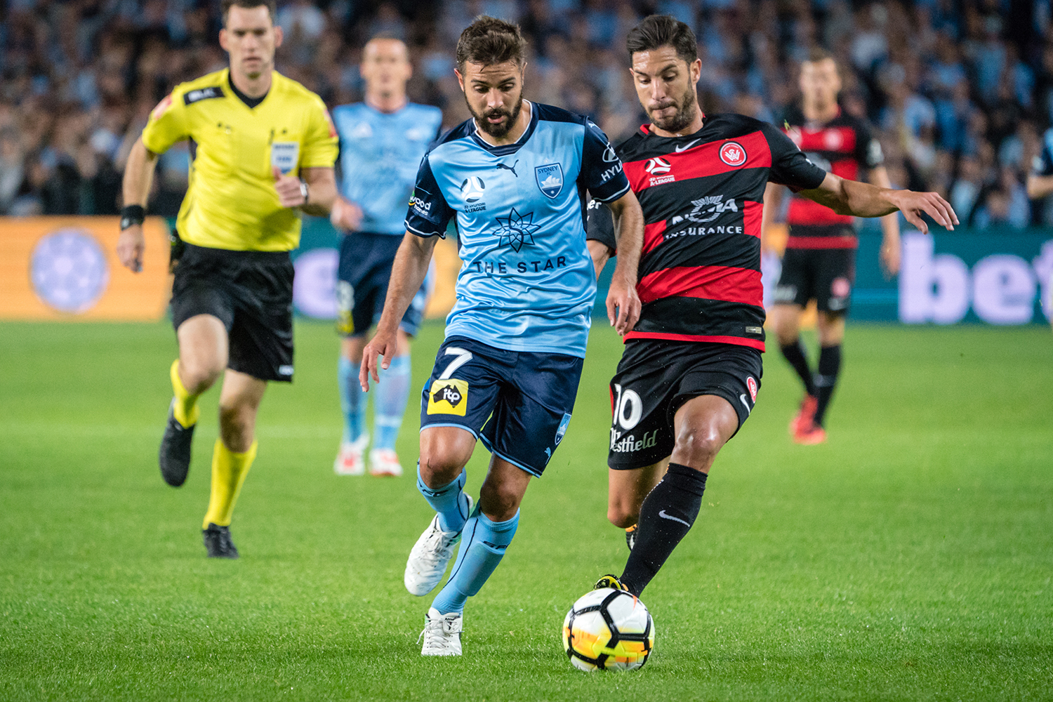 Head And Shoulders Above Says Zullo - Sydney FC