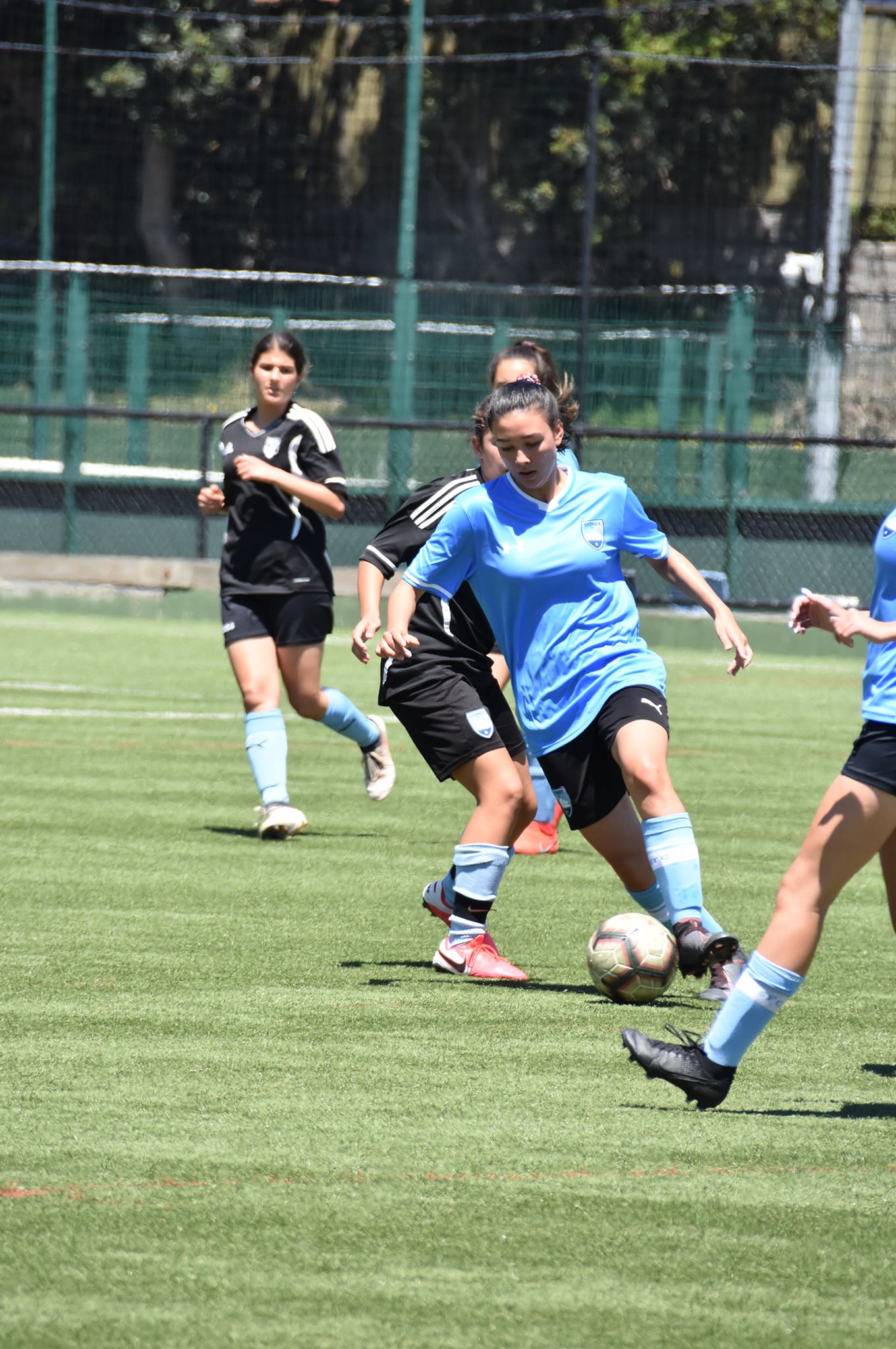 Sydney FC Academy Football Schools - Sydney FC