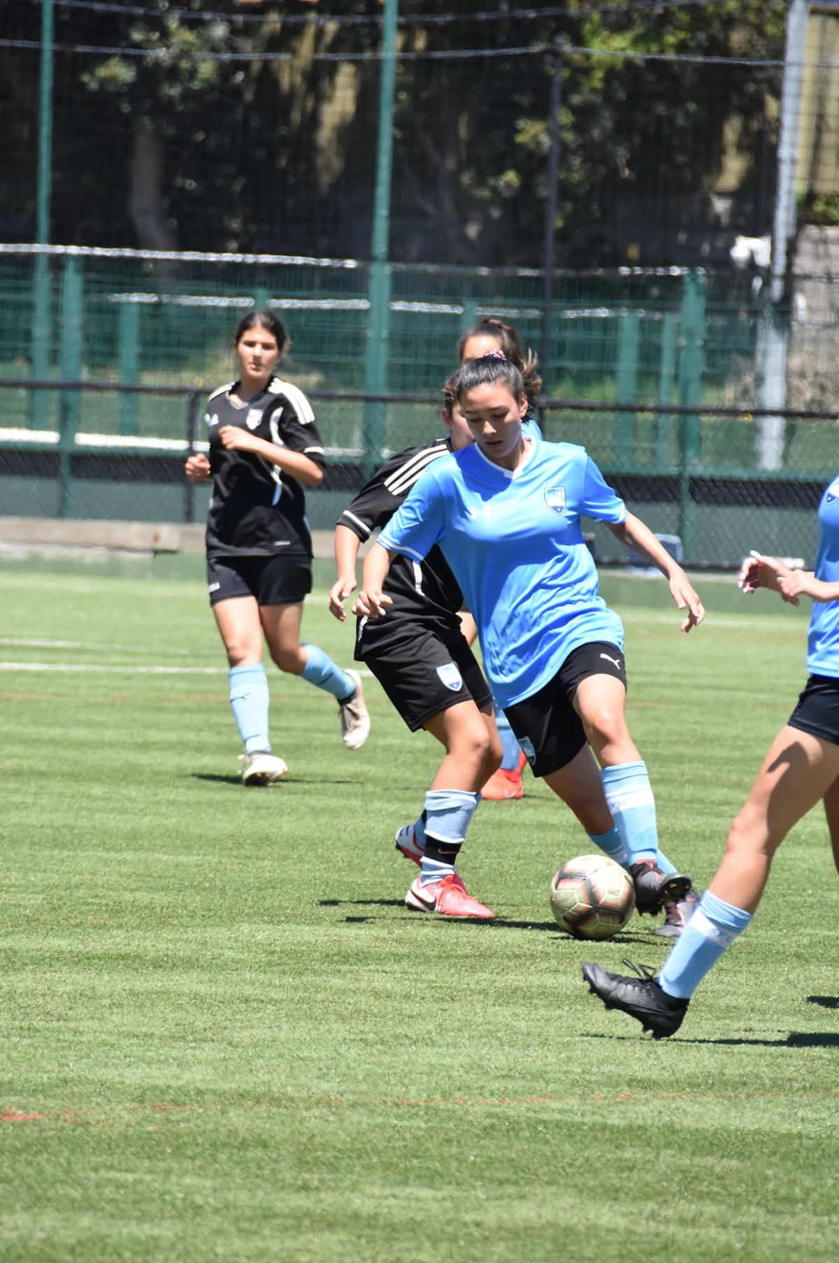 Sydney FC Academy Football Schools - Sydney FC