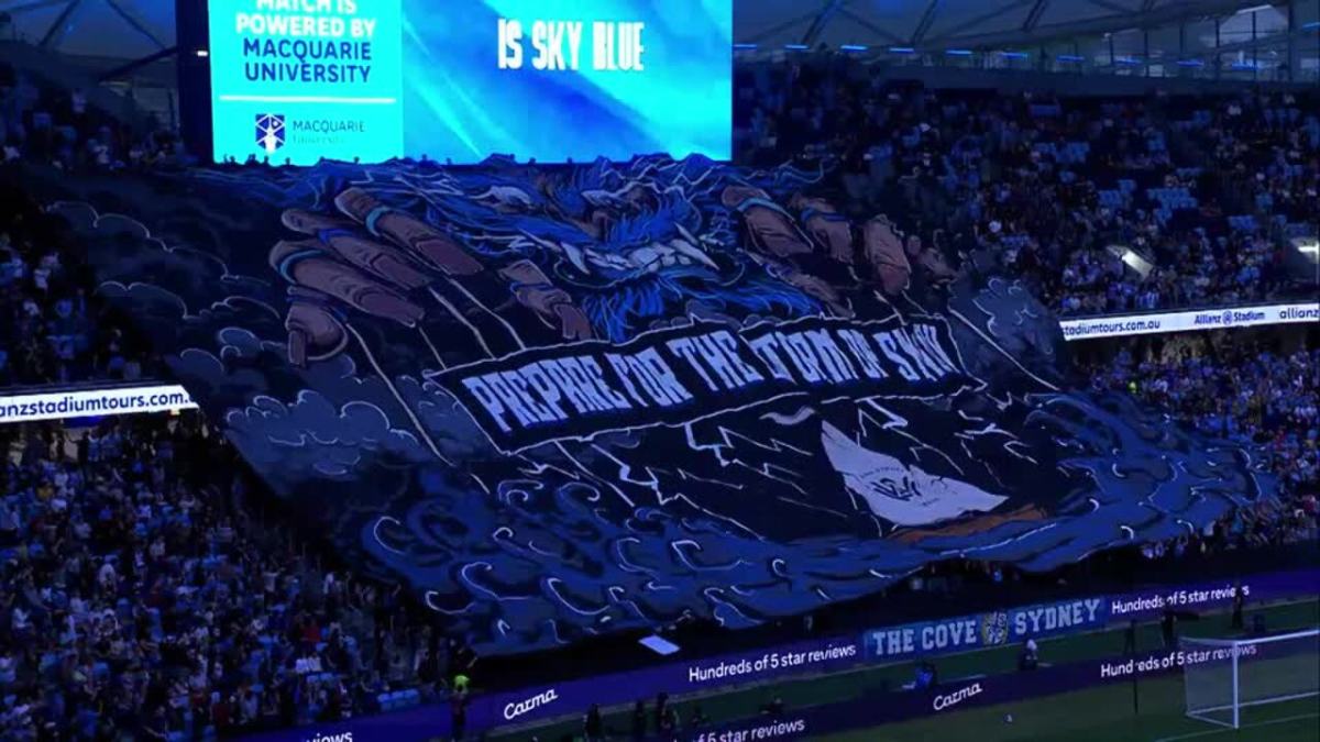 20 Years | The Cove, The Members & Fans – How It Started | Grant Muir ...