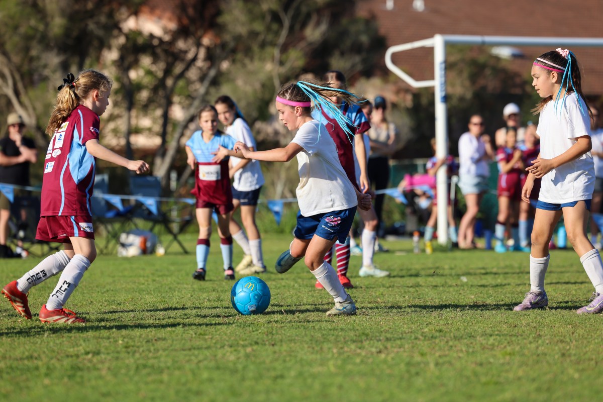 Sydney FC Shoalhaven Pre-Season Gala